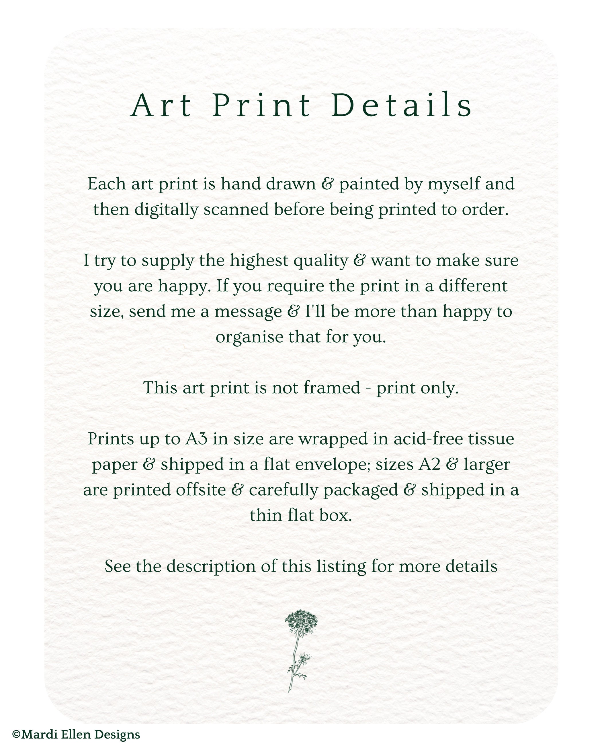 Billy Button - Limited Reproduction Art Print | Wildflower Print ...