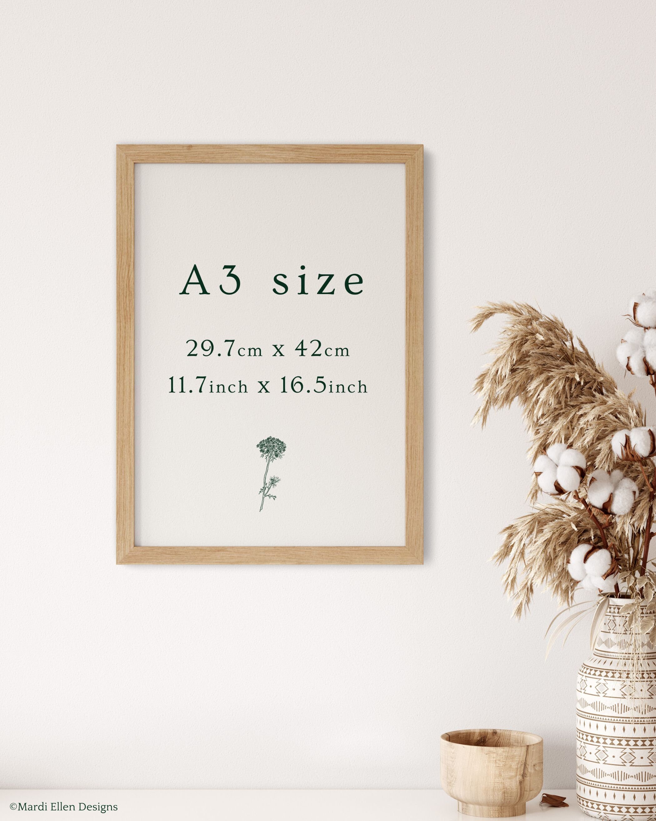 Billy Button - Limited Reproduction Art Print | Wildflower Print ...