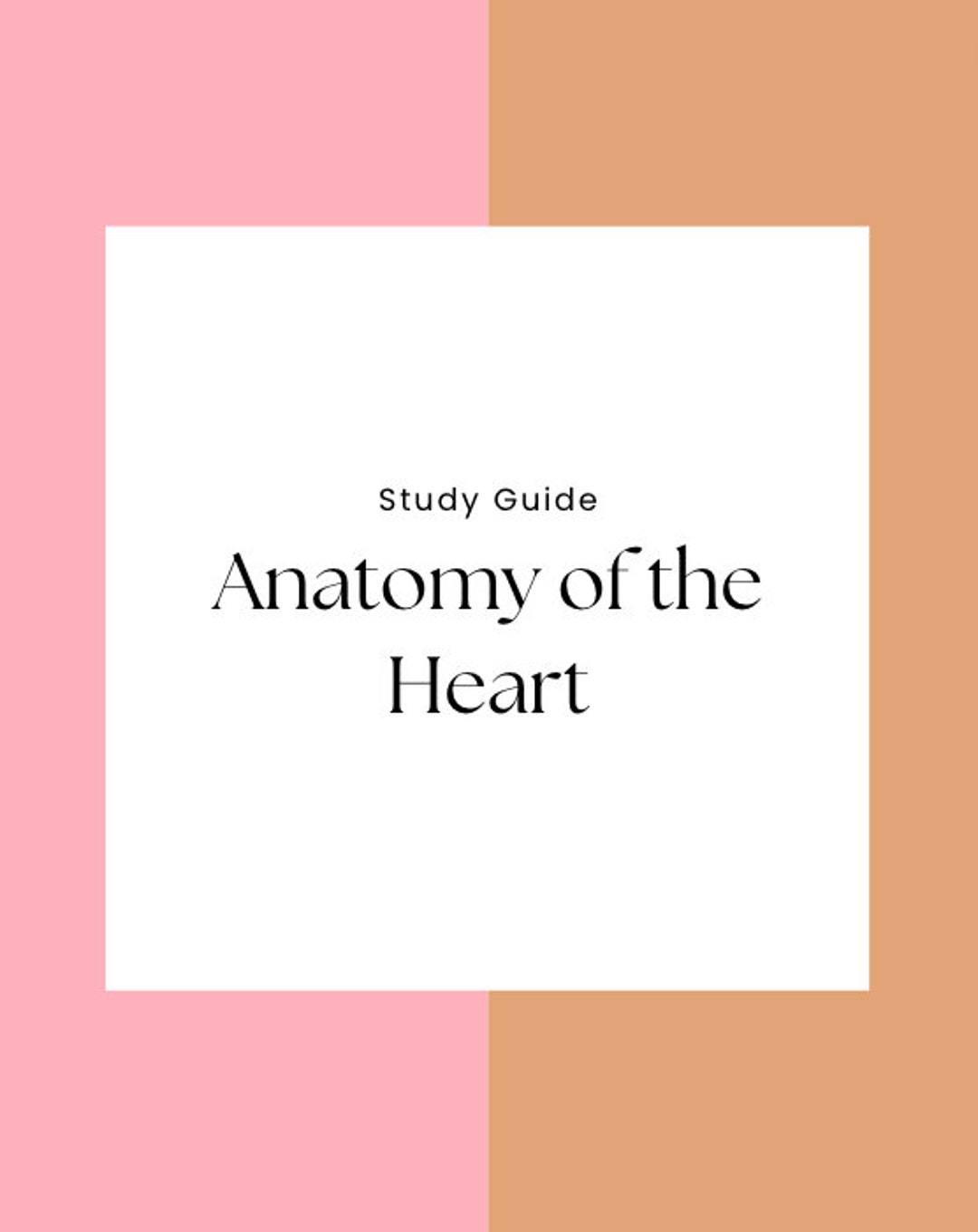 Study Guide: Anatomy of the Heart, Educational Tool - Etsy