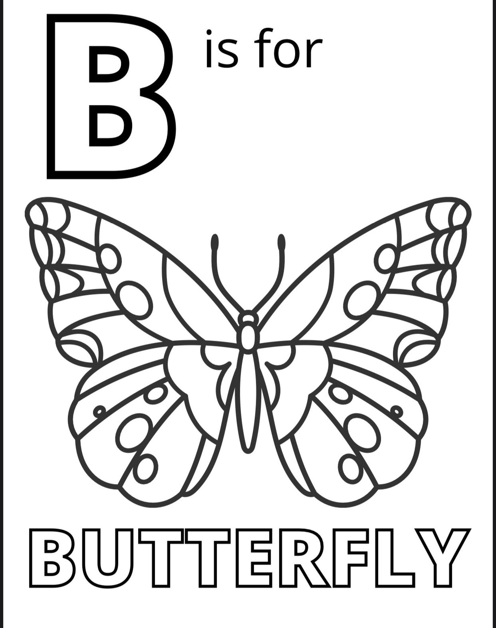 26 Page Alphabet Color Sheets - Etsy