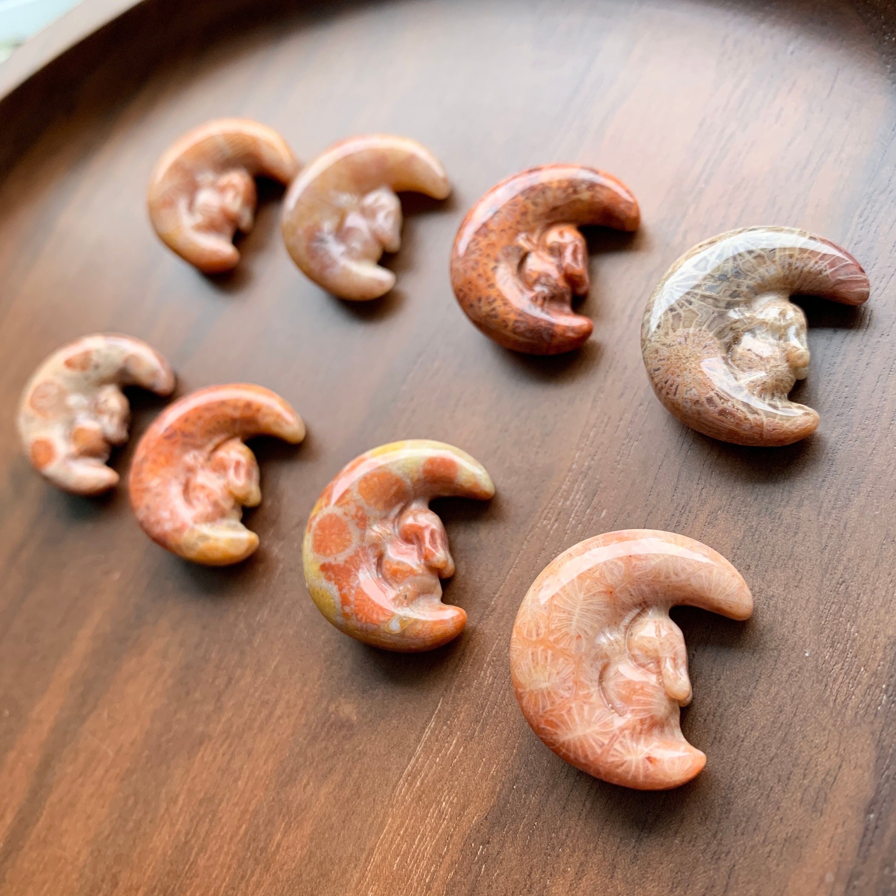 Custom Carved Bunny on the Moon Fossil Coral Necklace & Phone - Etsy