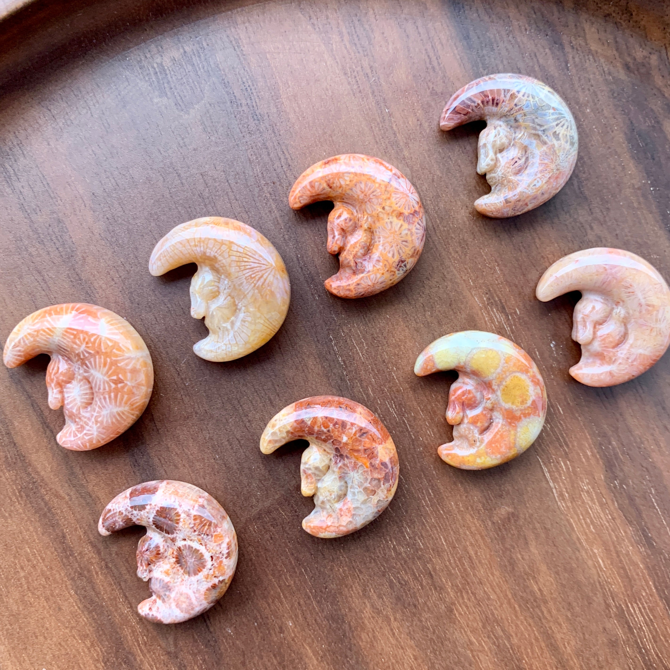 Custom Carved Bunny on the Moon Fossil Coral Necklace & Phone - Etsy