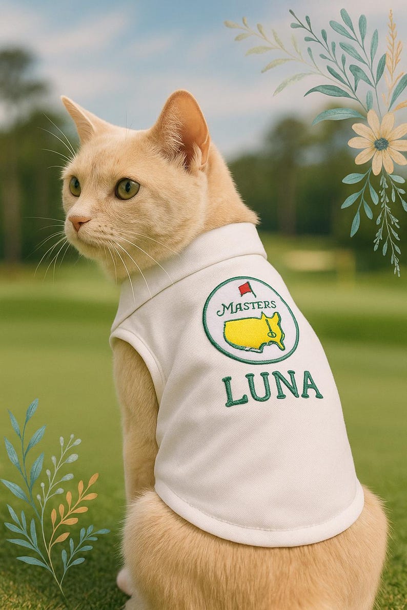 Golf Pet Costume: Hole-in-one Birthday Outfit - Etsy