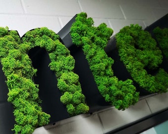 Backlit Moss Logo Sign, 3D Letter Box, Natural Office Wall Decor ...
