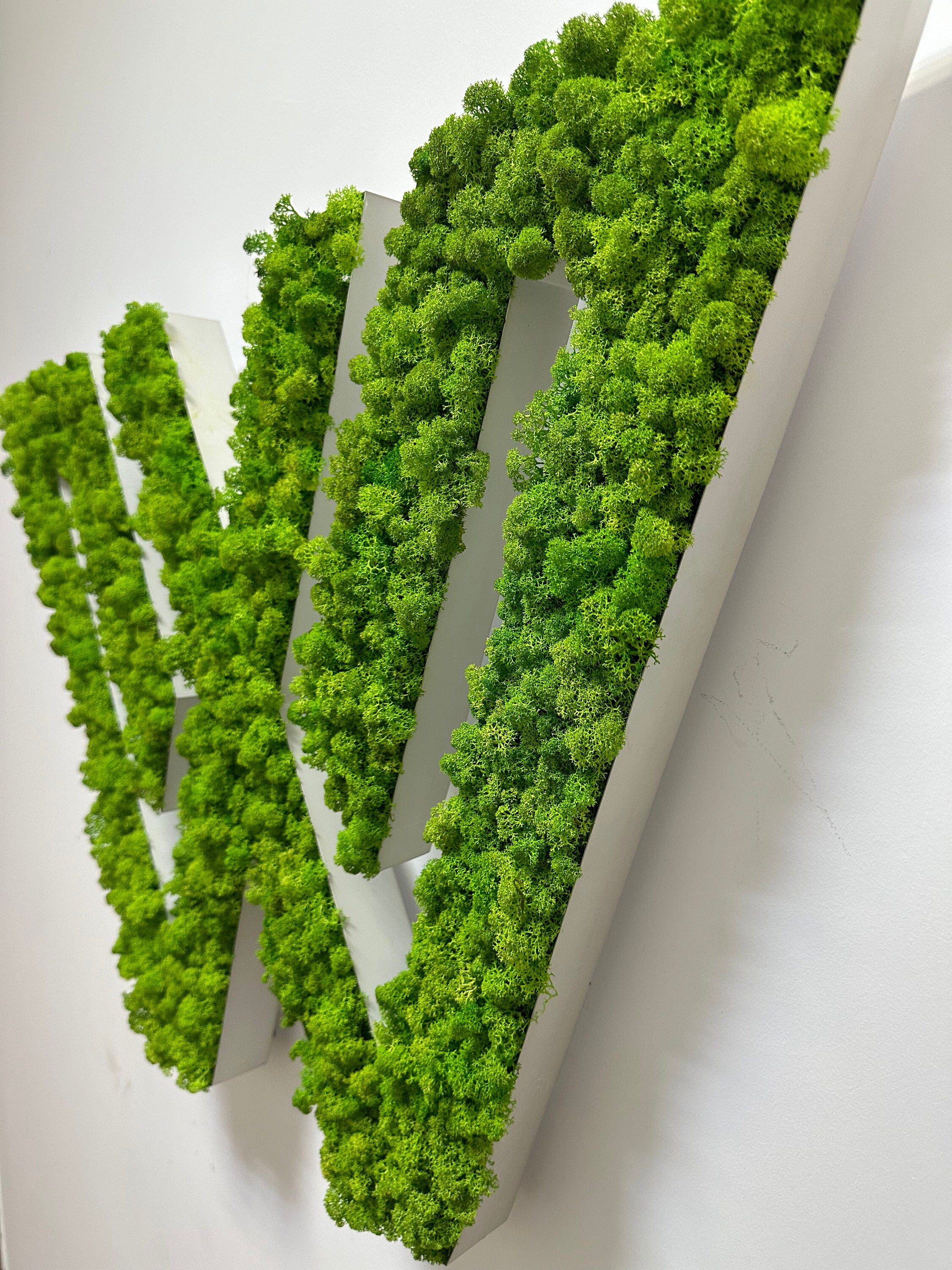 Custom Moss Logo Sign, 3D Letter Box, Natural Office Wall Decor, Custom ...