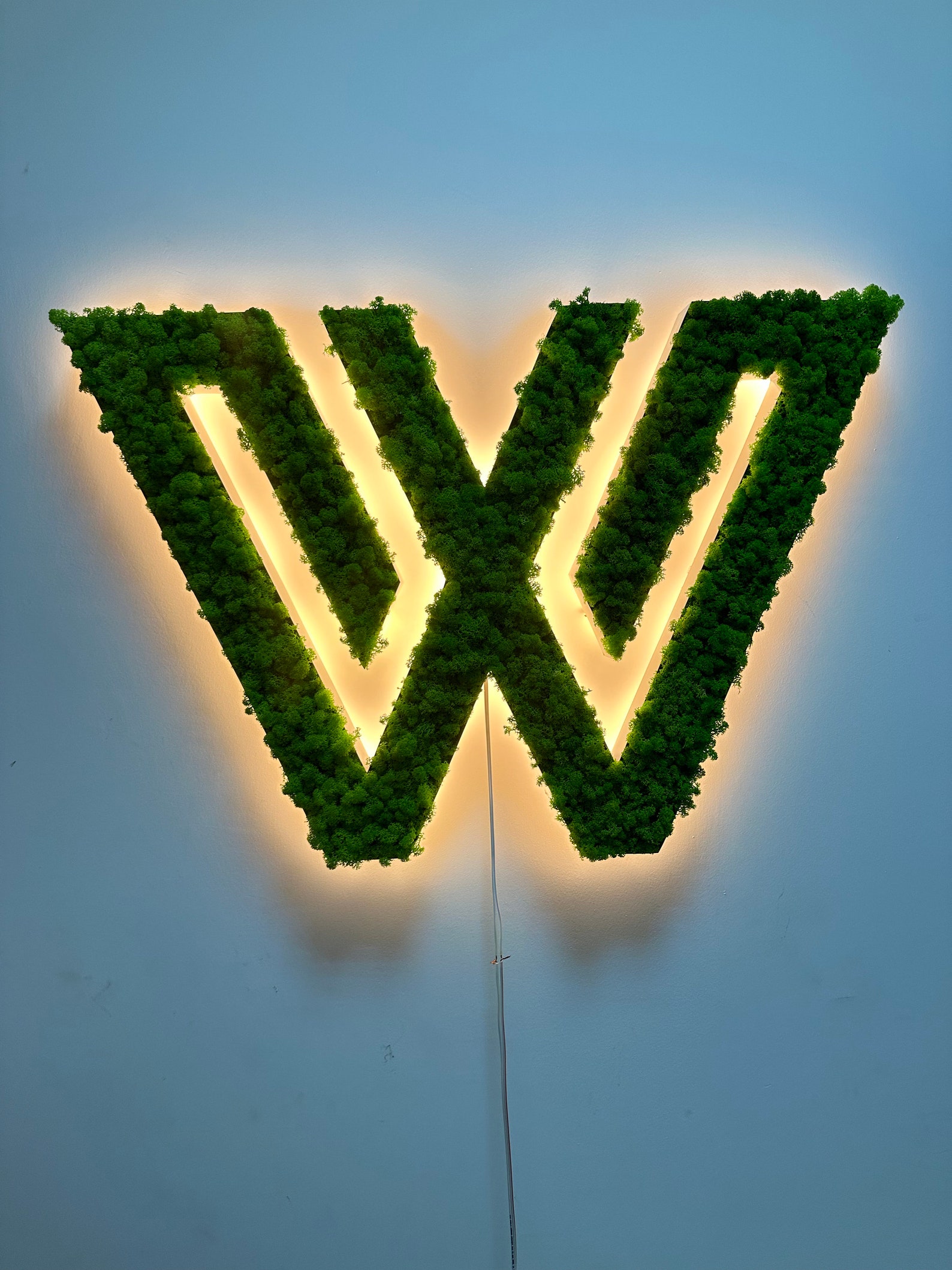 Backlit Moss Logo Sign, 3D Letter Box, Natural Office Wall Decor ...