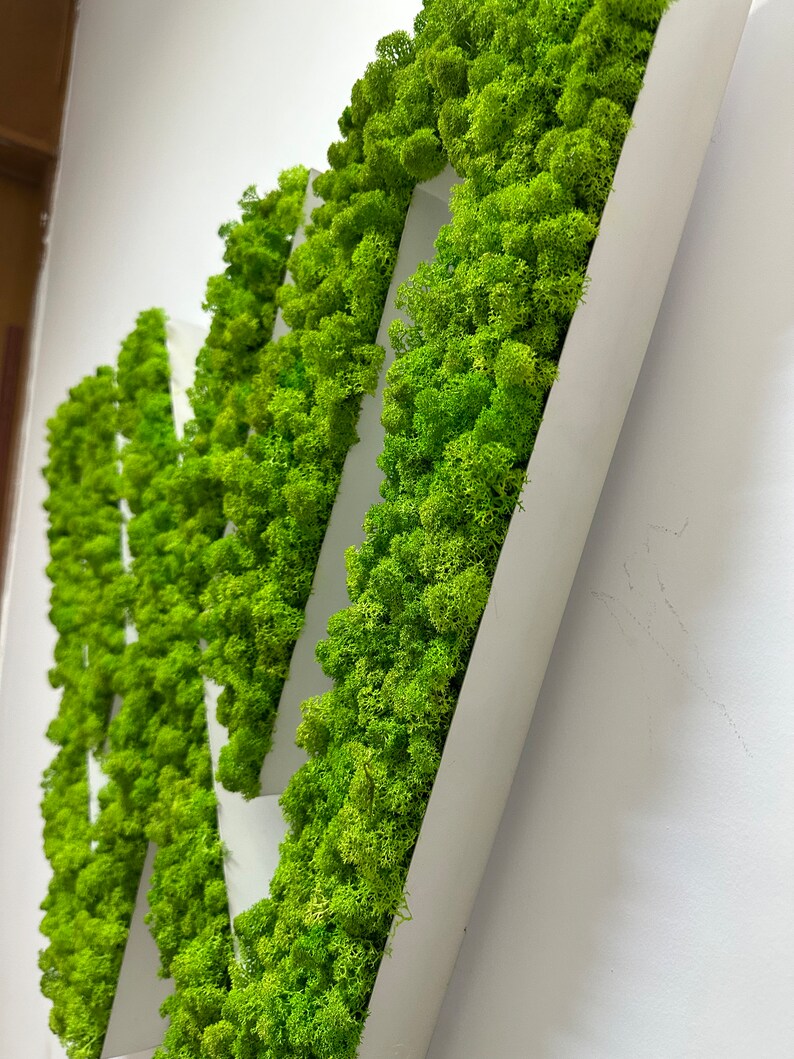 Custom Moss Logo Sign, 3D Letter Box, Natural Office Wall Decor, Custom ...