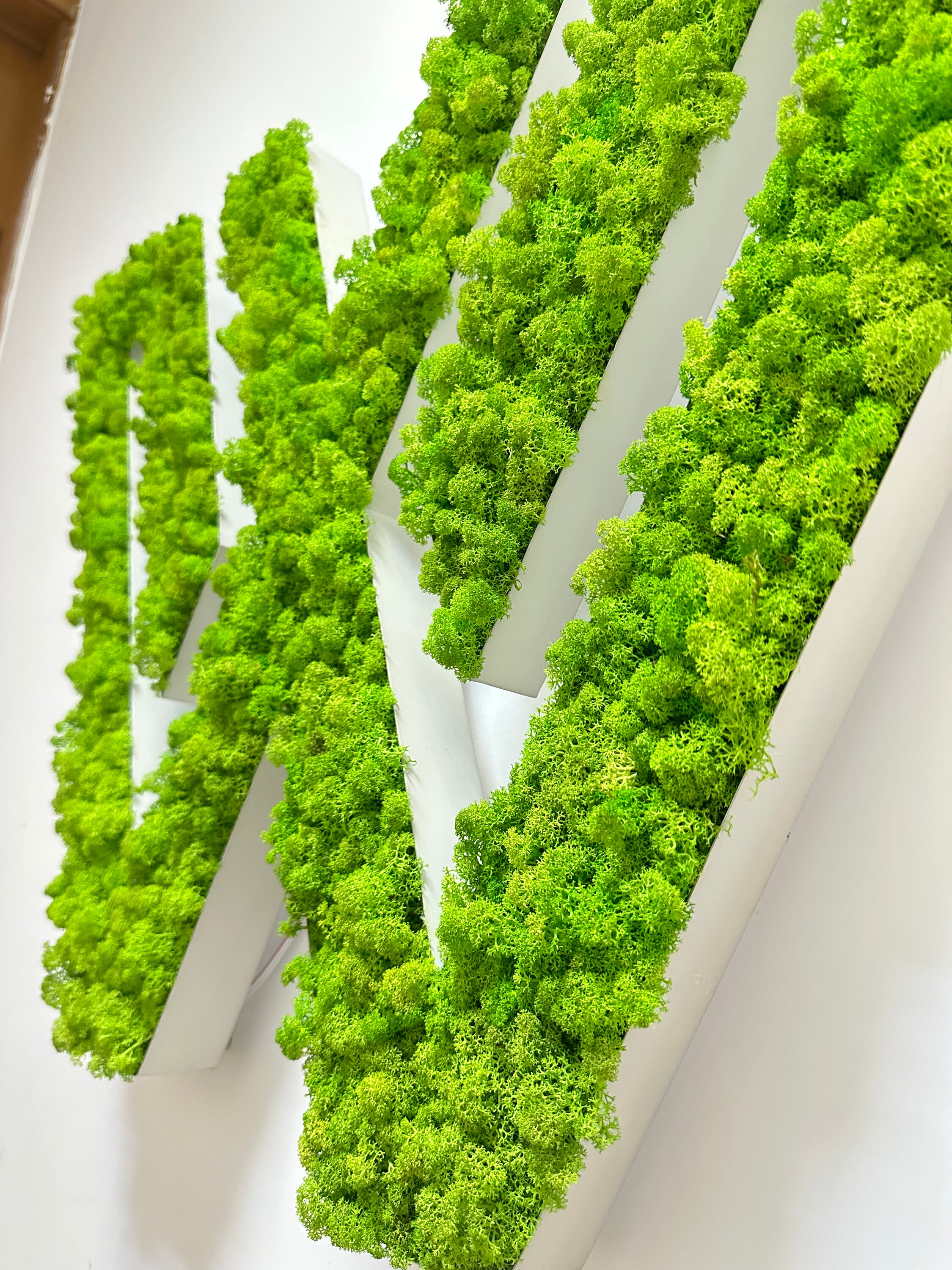 Custom Moss Logo Sign, 3D Letter Box, Natural Office Wall Decor, Custom ...