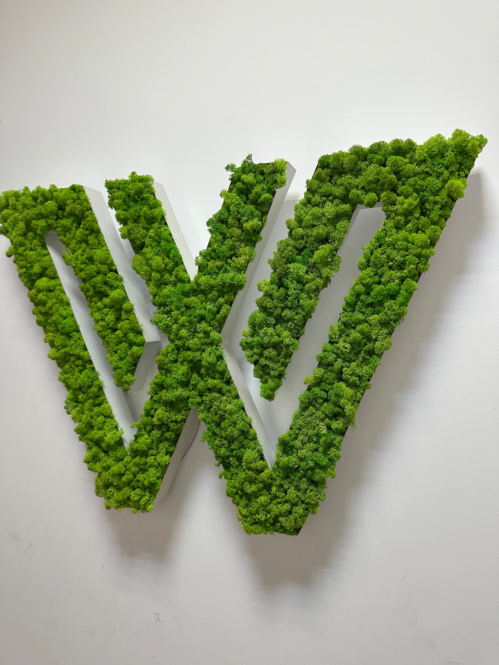 Custom Moss Logo Sign, 3D Letter Box, Natural Office Wall Decor, Custom ...