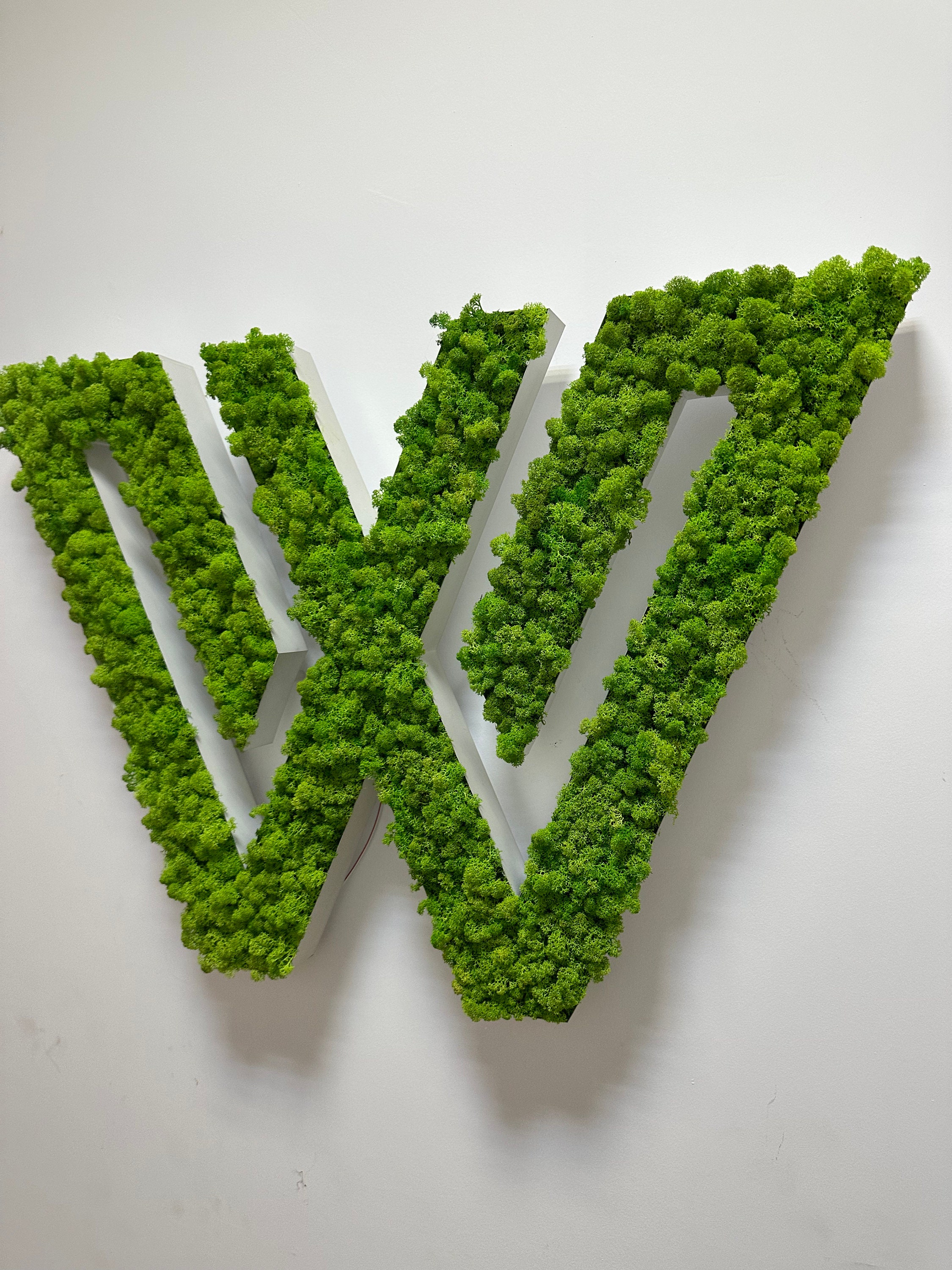 Custom Moss Logo Sign, 3D Letter Box, Natural Office Wall Decor, Custom ...