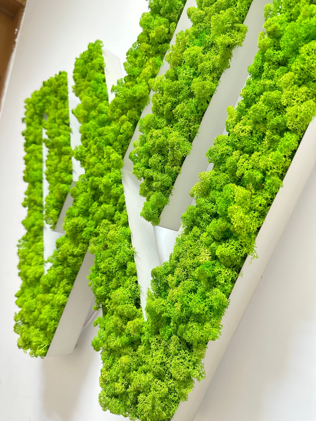 Custom Moss Logo Sign, 3D Letter Box, Natural Office Wall Decor, Custom ...