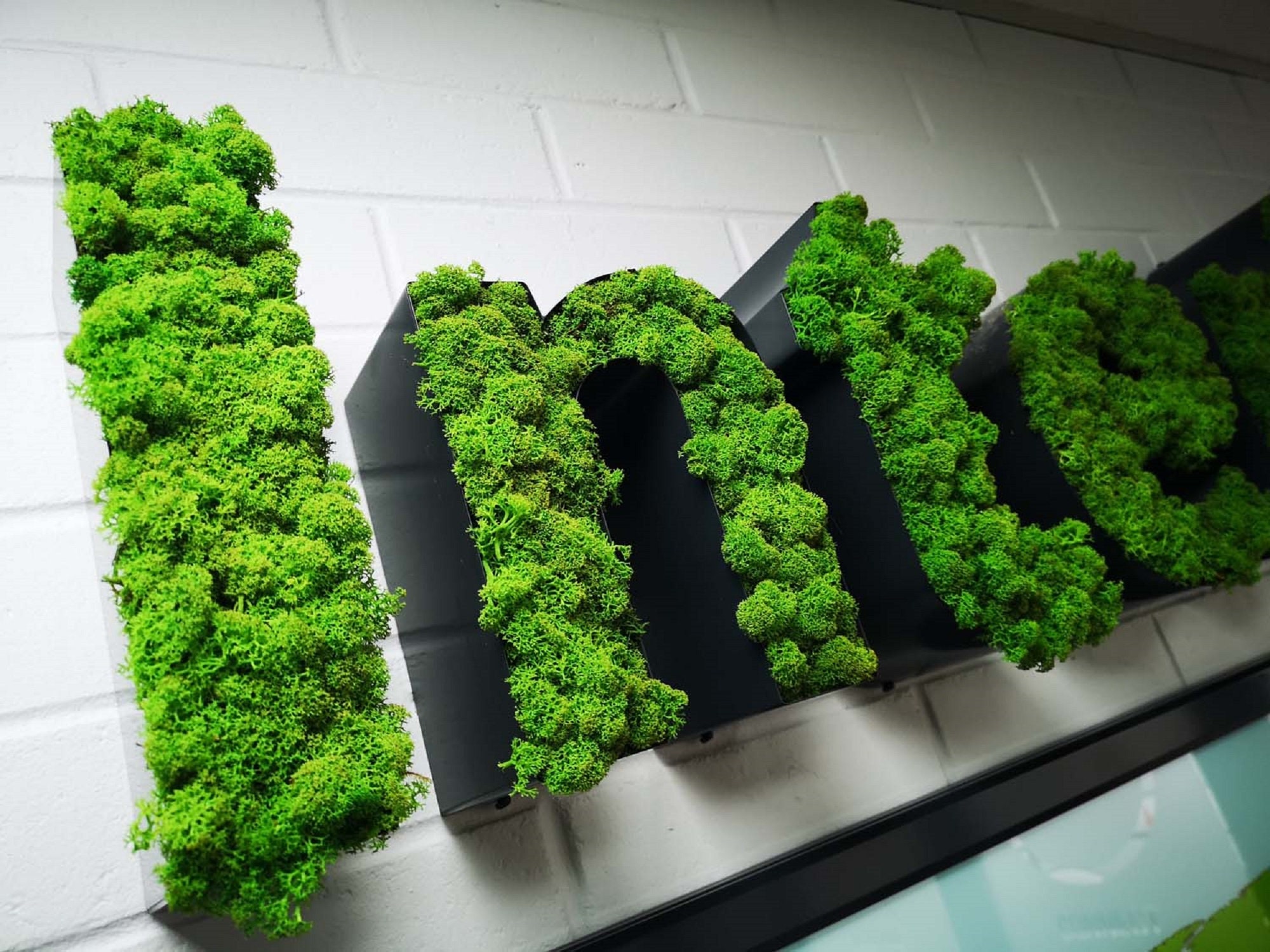 Custom Moss Sign, 3D Letter Box, Natural Office Wall Decor, Custom Moss ...