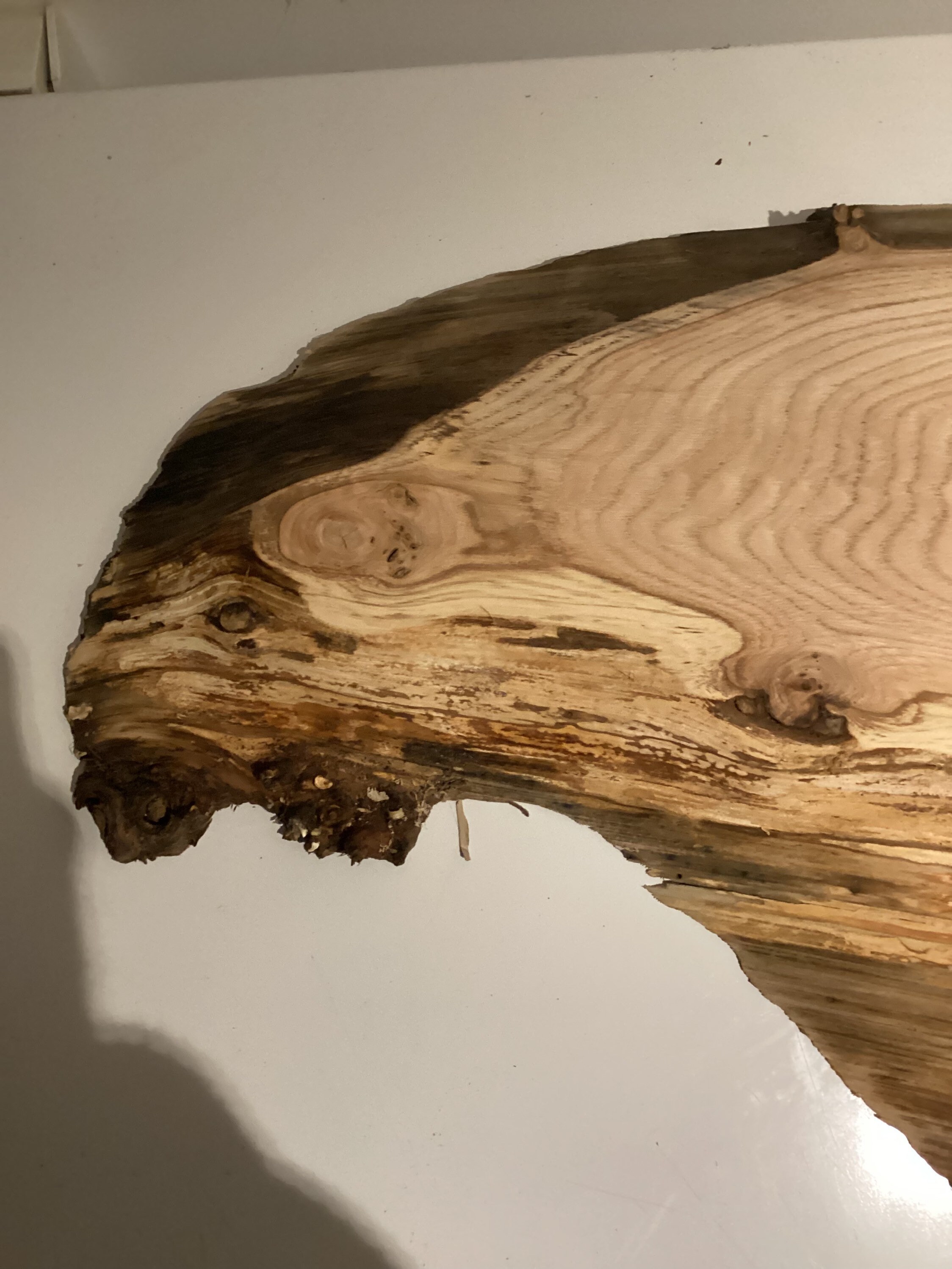 Wonky Chestnut Board - Etsy