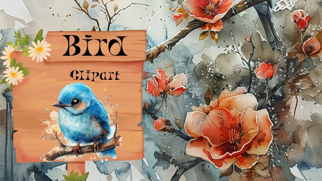 Bird Clipart Set 300 DPI - Etsy
