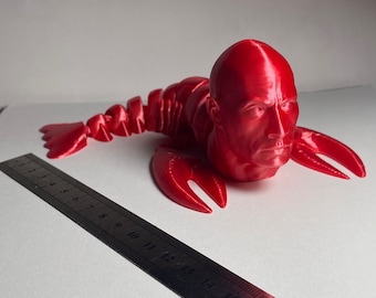 Rock Lobster Articulated Fidget Toy Dwayne Johnson the Rock - Etsy