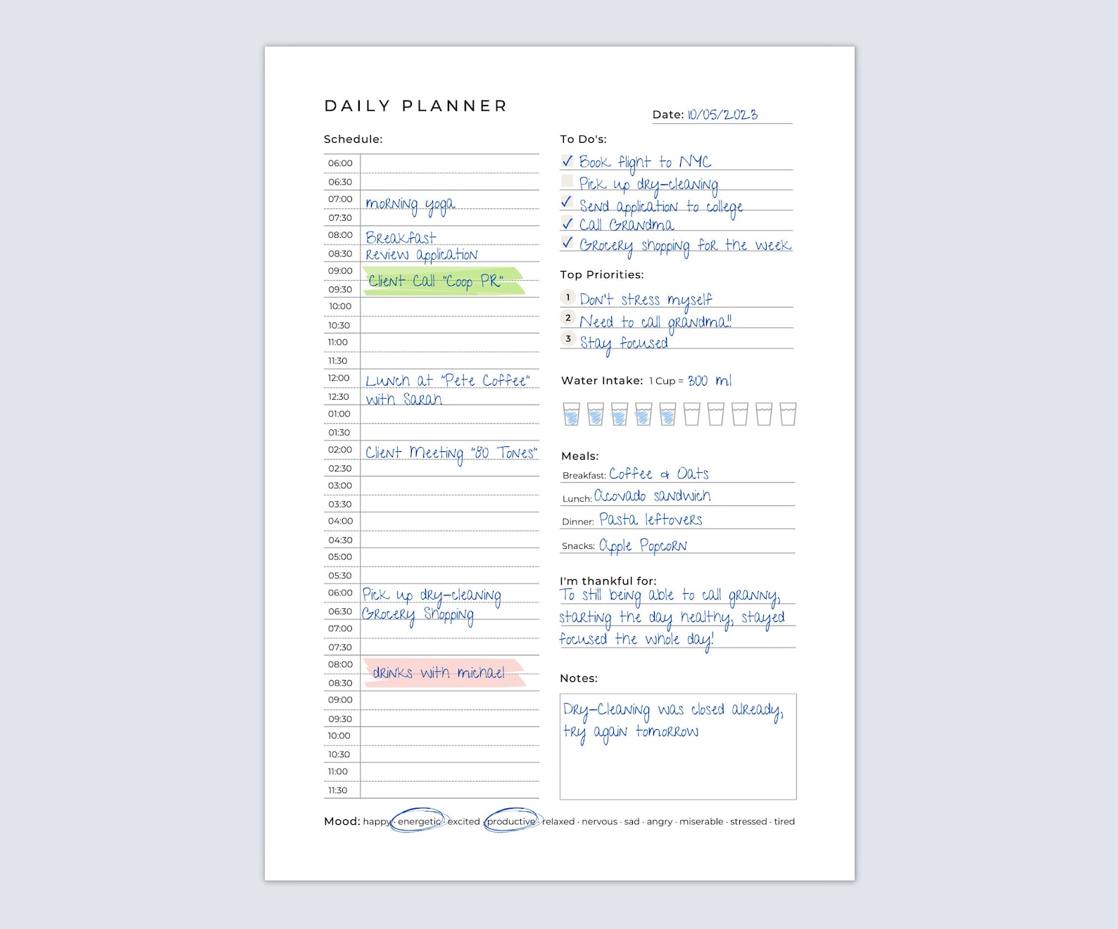 Undated Daily Planner Printable Daily Planner Day Planner - Etsy