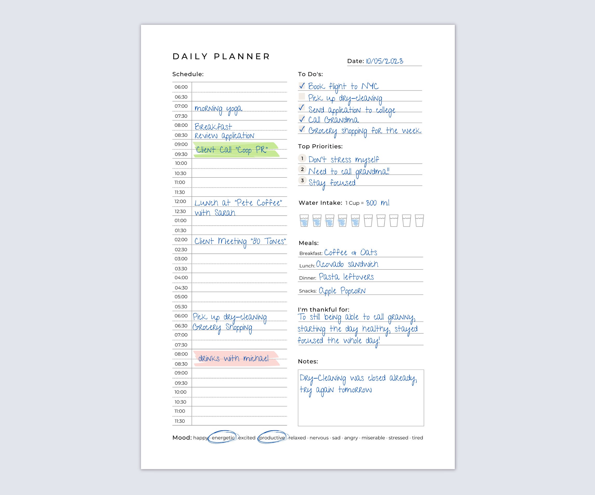 Undated Daily Planner Printable Daily Planner Day Planner - Etsy