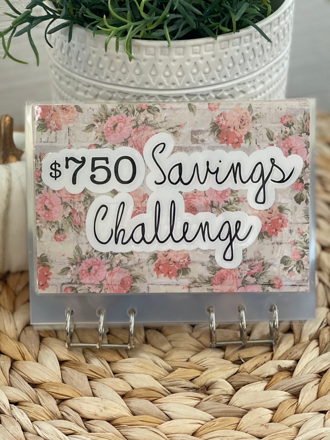 750 Dollar Savings Challenge Binder / Cash Stuffing Challenge - Etsy