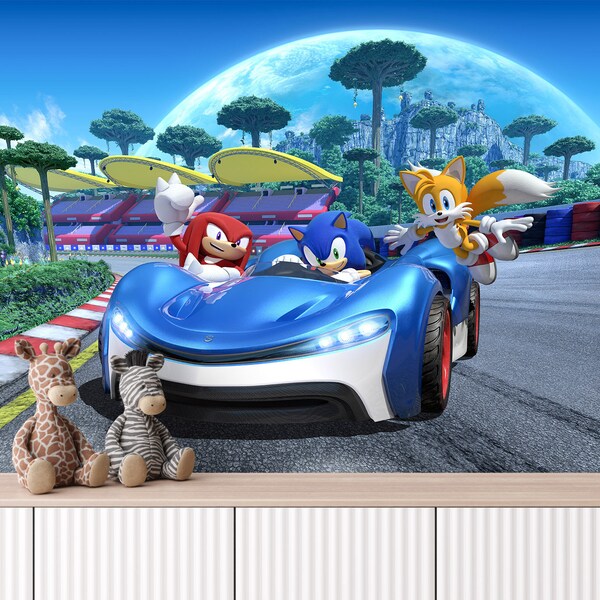 Sonic Room Decor - Etsy