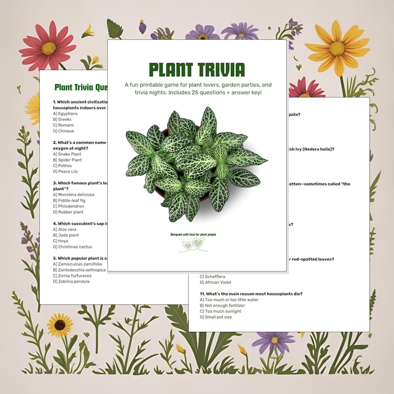 Houseplant - Etsy
