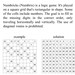 Bundle Easy, Medium and Hard Numbrix Puzzles Printable PDF - Bundle of ...