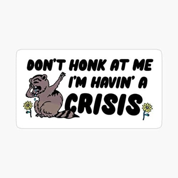 Dont Honk at Me Bumper Sticker - Etsy