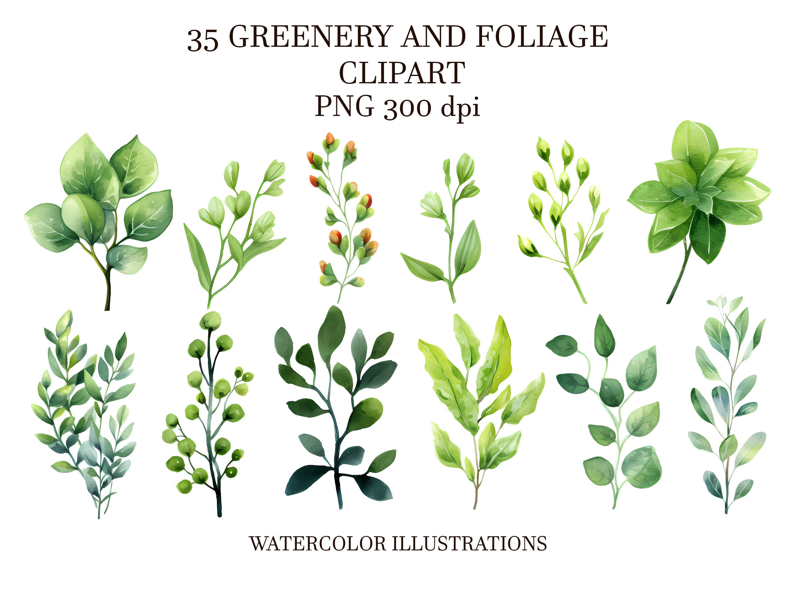 Greenery Watercolor Clipart Greenery Bundle Botanical - Etsy