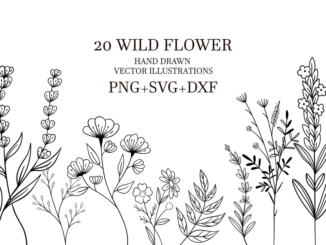 Wild Flowers Bundle, 20 Variations for Your Creative Designs. Hand ...