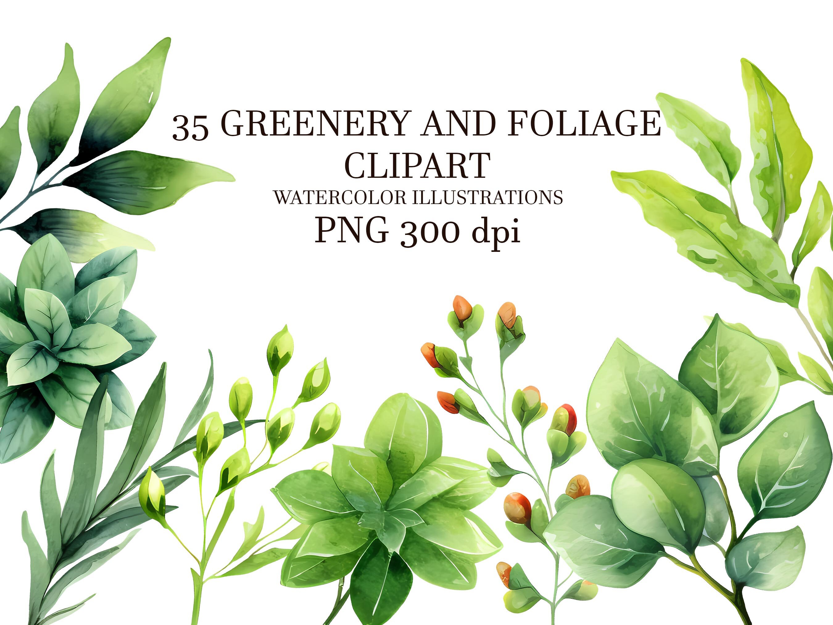 Greenery Watercolor Clipart Greenery Bundle Botanical - Etsy