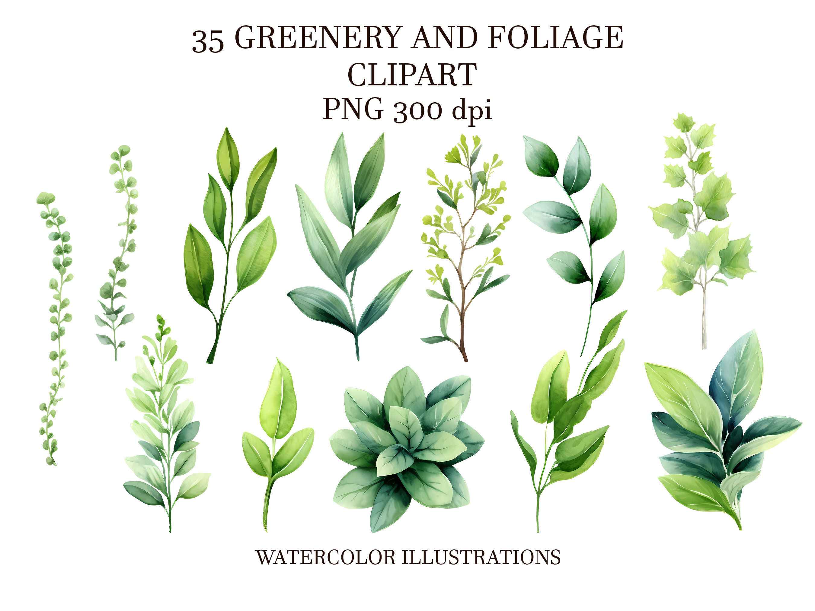 Greenery Watercolor Clipart Greenery Bundle Botanical - Etsy