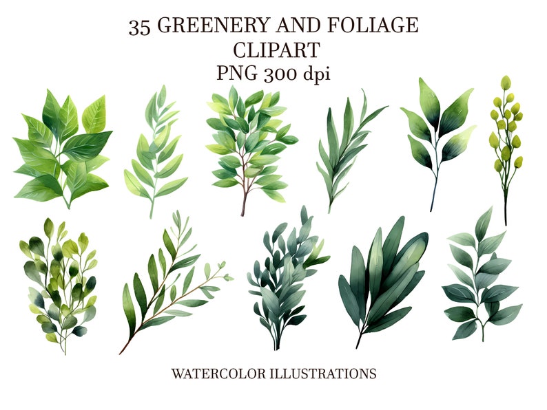 Greenery Watercolor Clipart Greenery Bundle Botanical - Etsy
