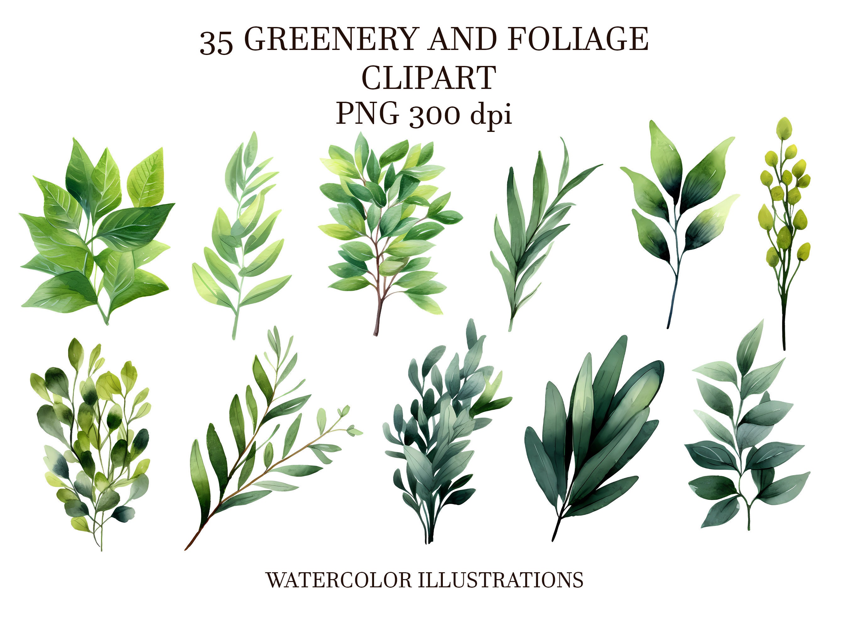 Greenery Watercolor Clipart Greenery Bundle Botanical - Etsy