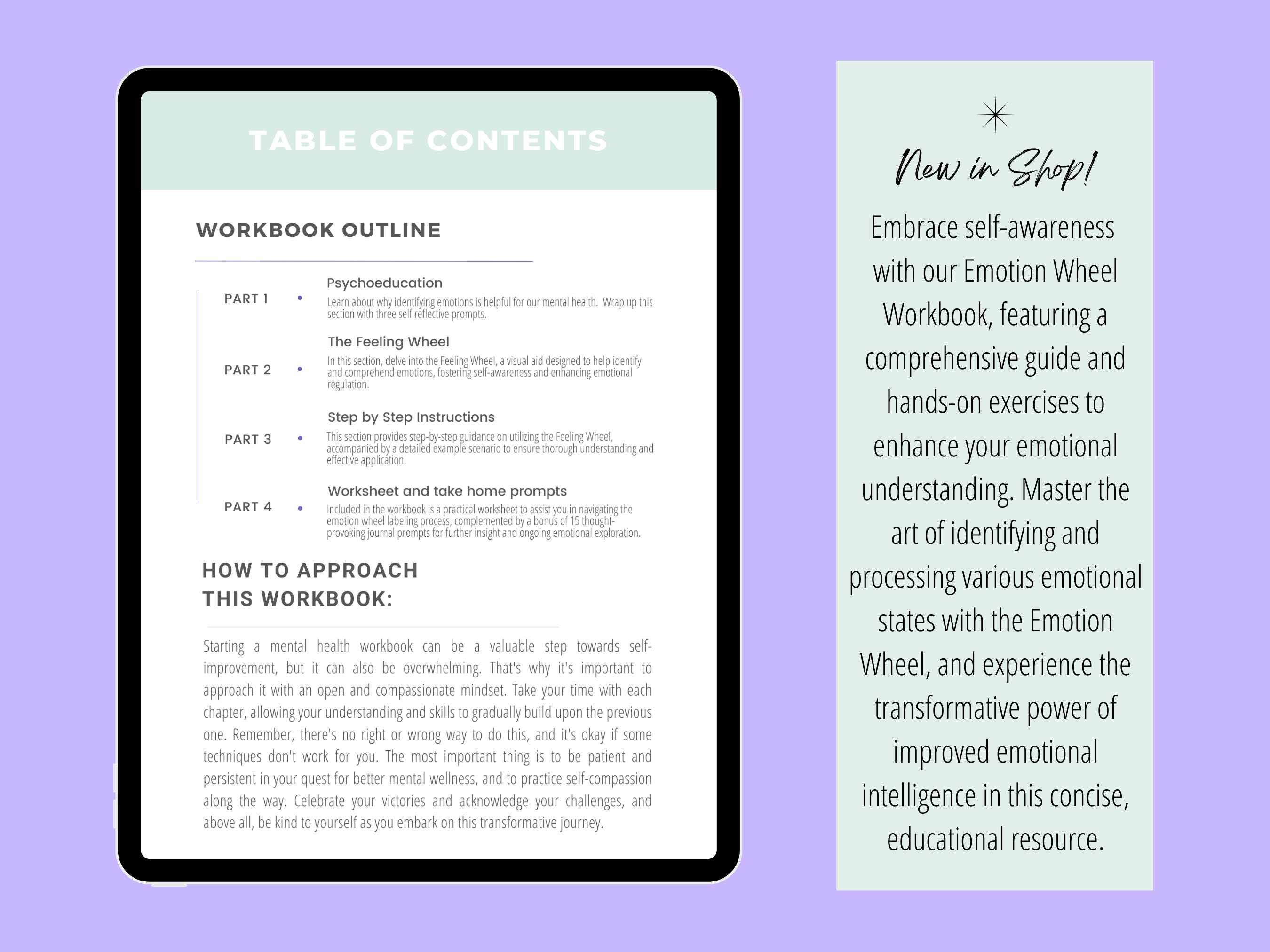 Emotion Wheel Mental Health Workbook, Feeling Wheel, Emotion Regulation ...