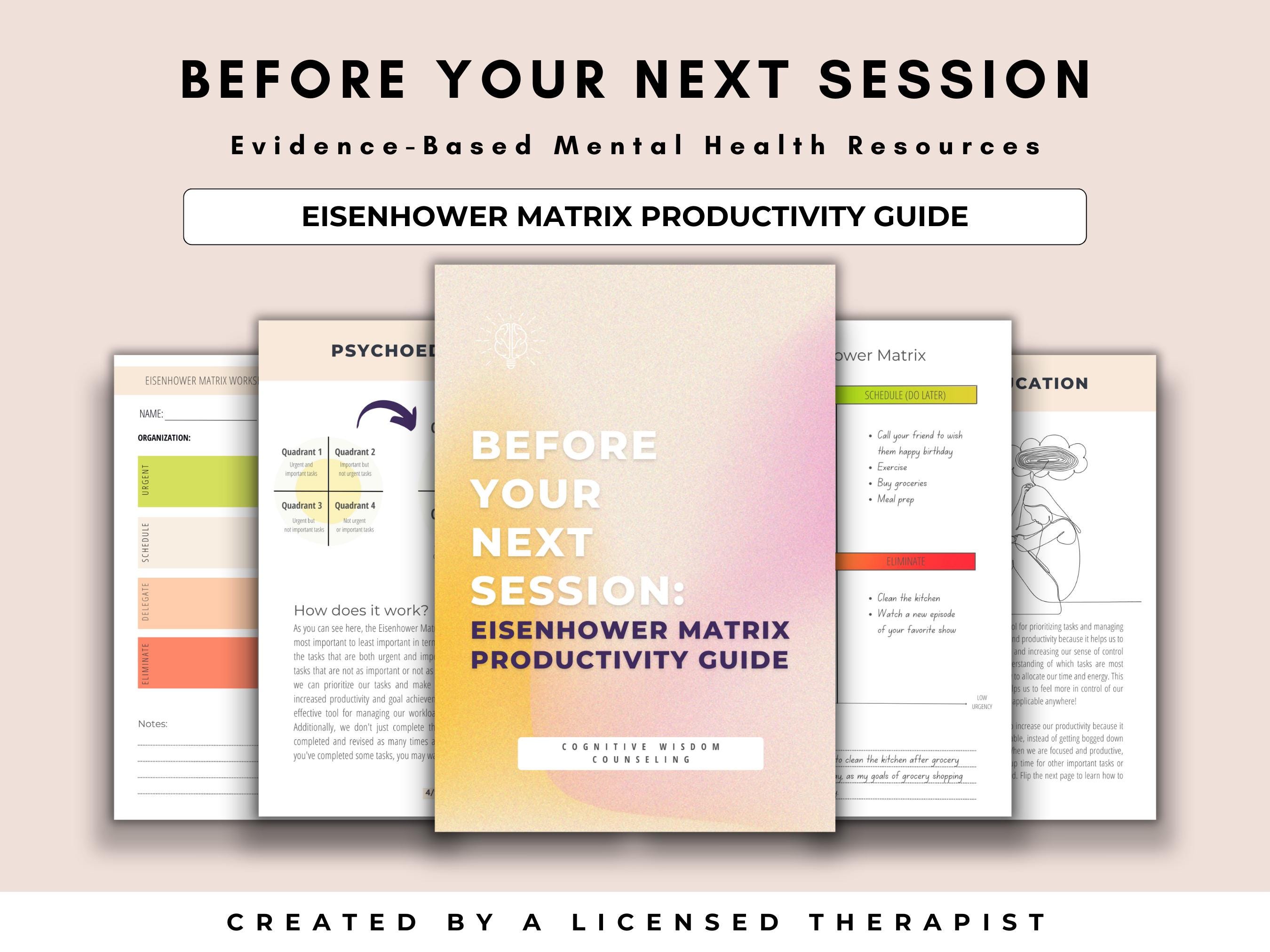 Eisenhower Matrix Guide, Task Priority Matrix, Productivity Planner ...