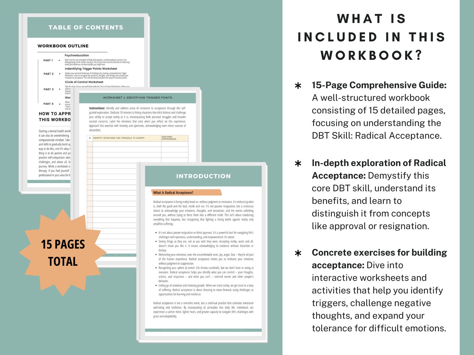 DBT Skills Guide Radical Acceptance Mental Health Workbook, Therapy ...