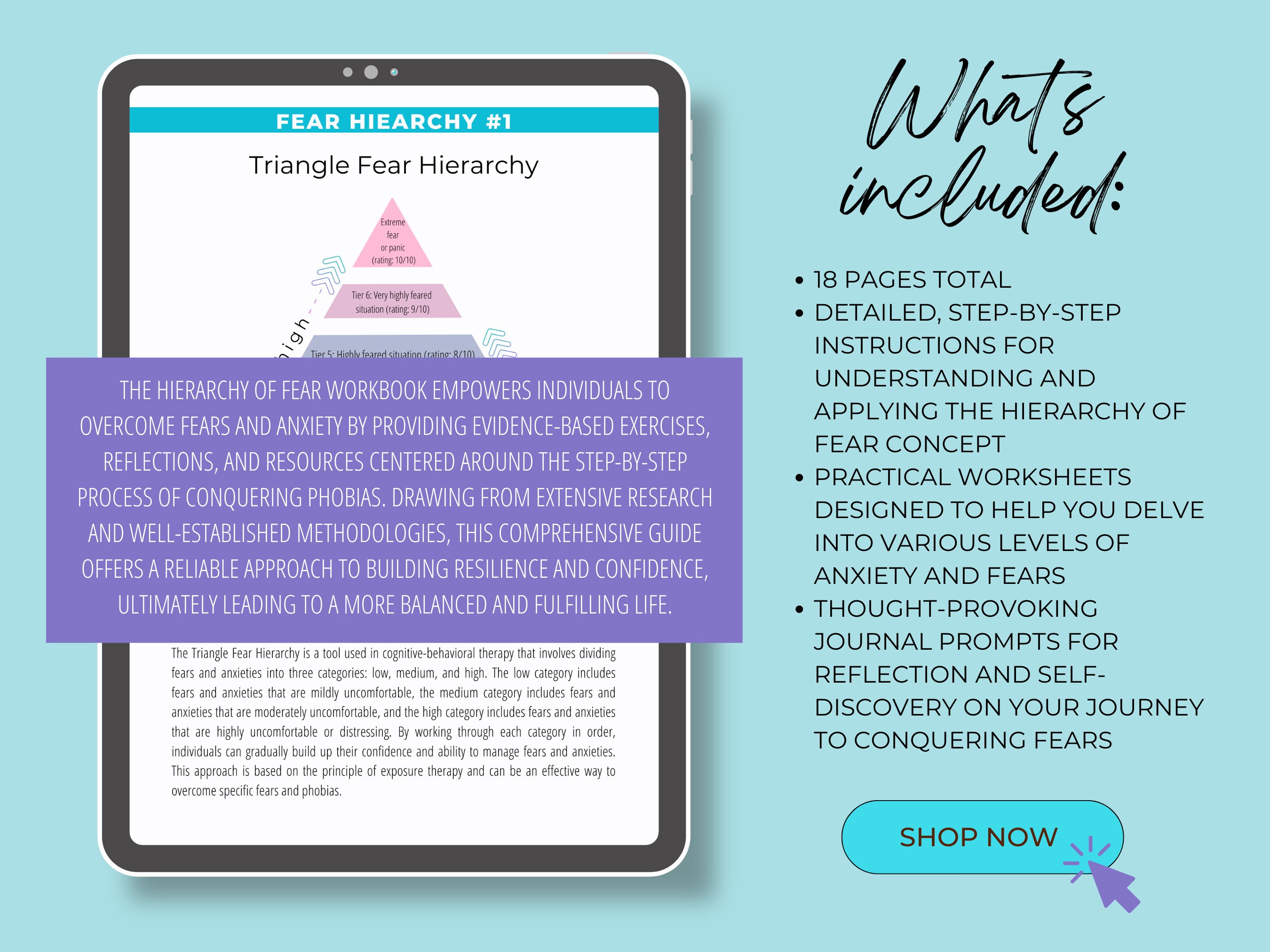 Anxiety Fear Phobia Workbook, OCD, ERP, Mental Health Support, Exposure ...