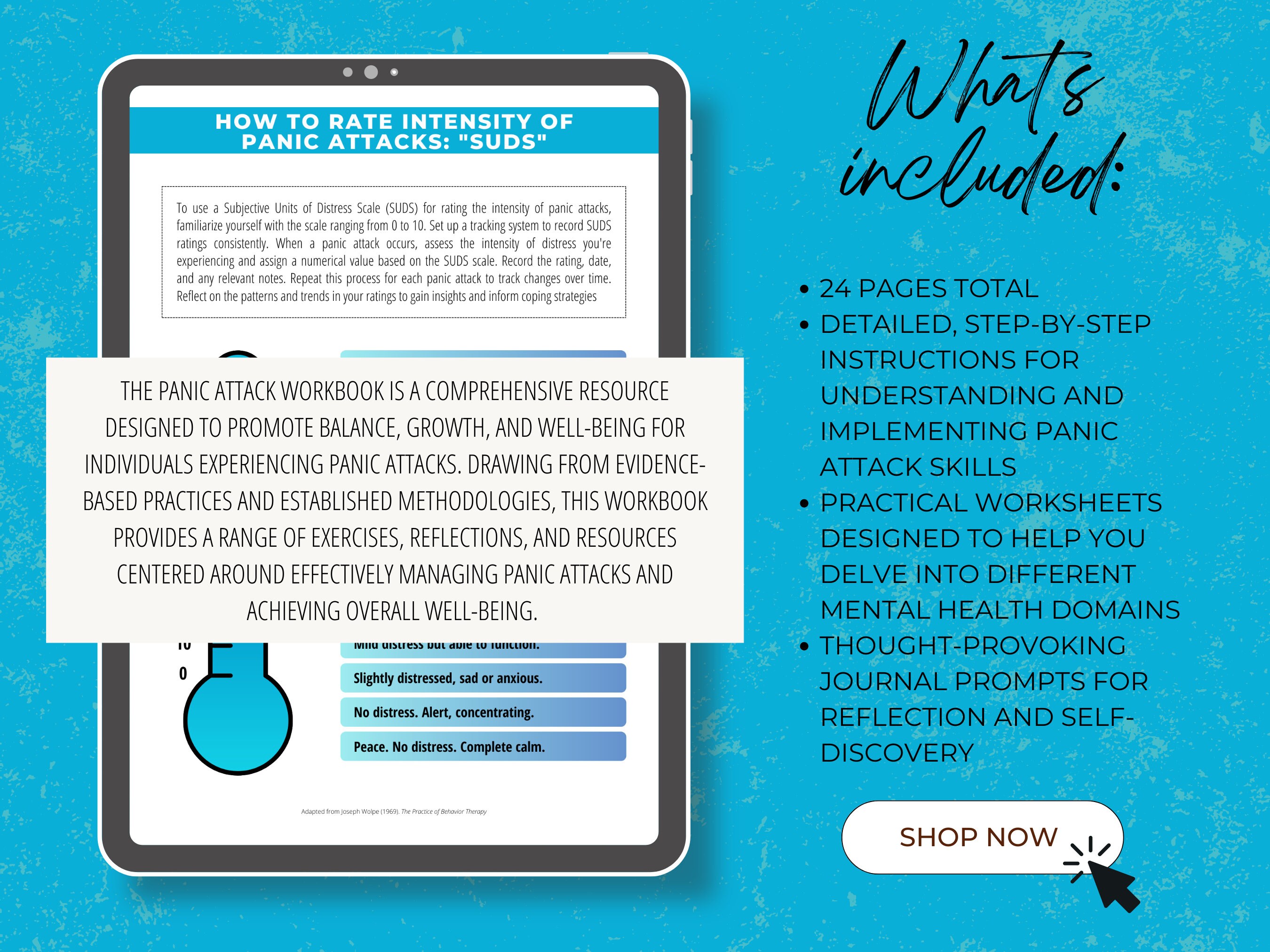 Panic Attacks & Panic Disorder Workbook, Anxiety Attack Worksheet ...