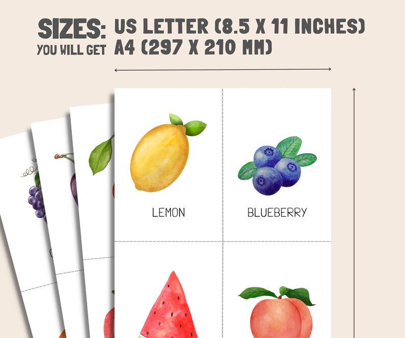 30 Obst und Gemüse Karten Montessori Karteikarten - Etsy.de