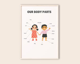 Body Parts Poster - Etsy