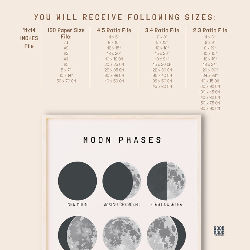 Set of Educational Posters, Montessori Classroom Decor,educational ...