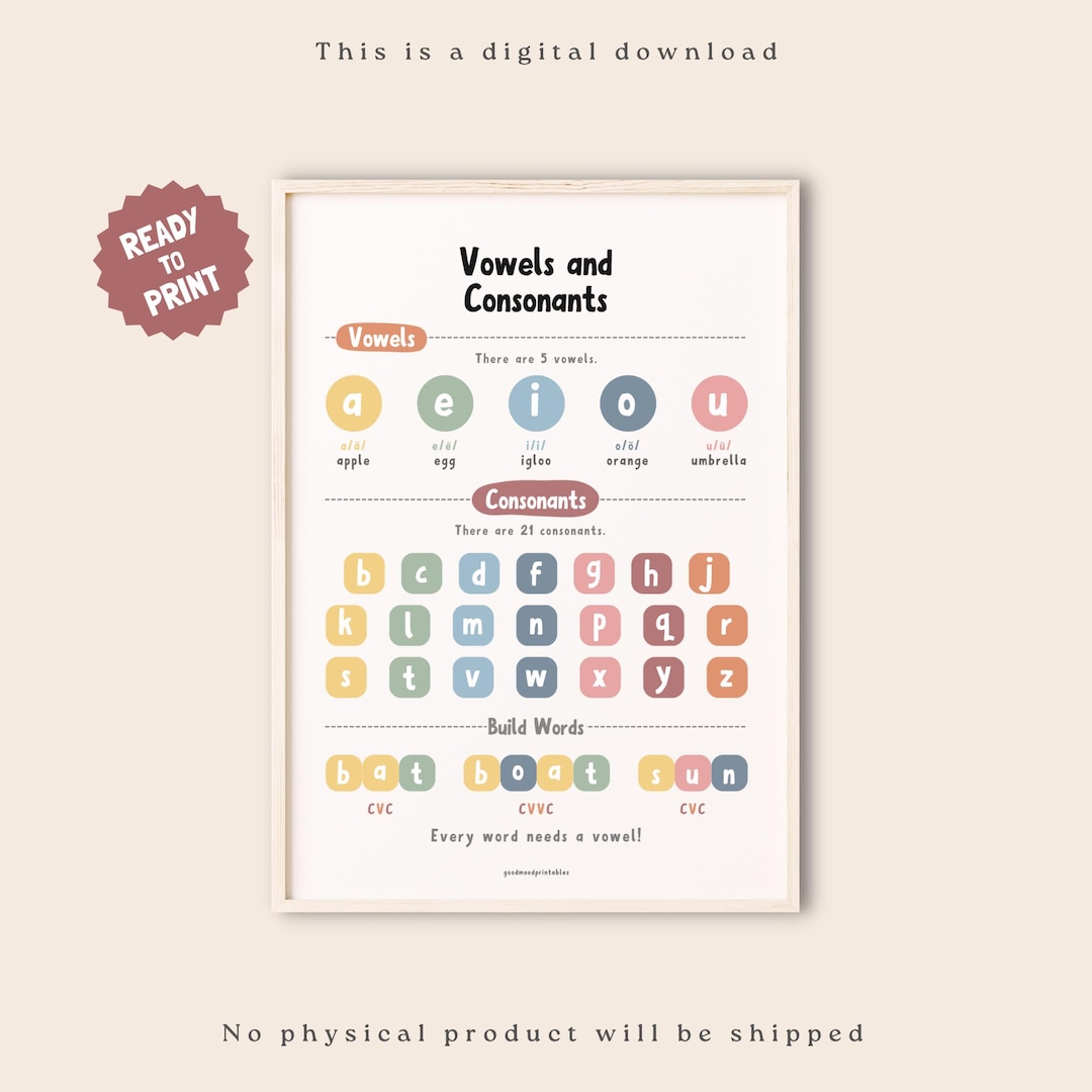 Vowels and Consonants Chart, Phonics Poster, Classroom Alphabet Poster ...