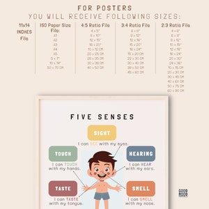 Five Senses Poster, Montessori Homeschool ,educational Poster for Kids ...