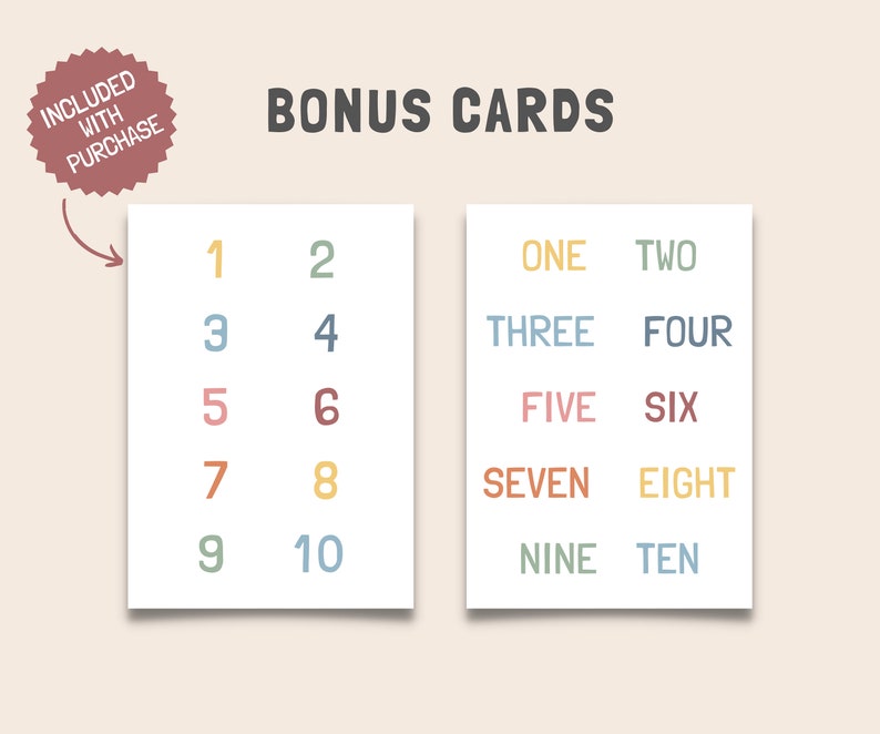 Numbers Flash Cards Preschool Counting Flash Cards Count and - Etsy