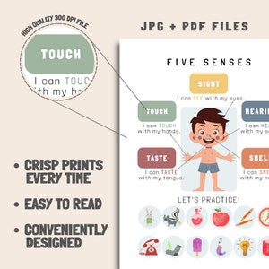 Five Senses Poster, Montessori Homeschool ,educational Poster for Kids ...