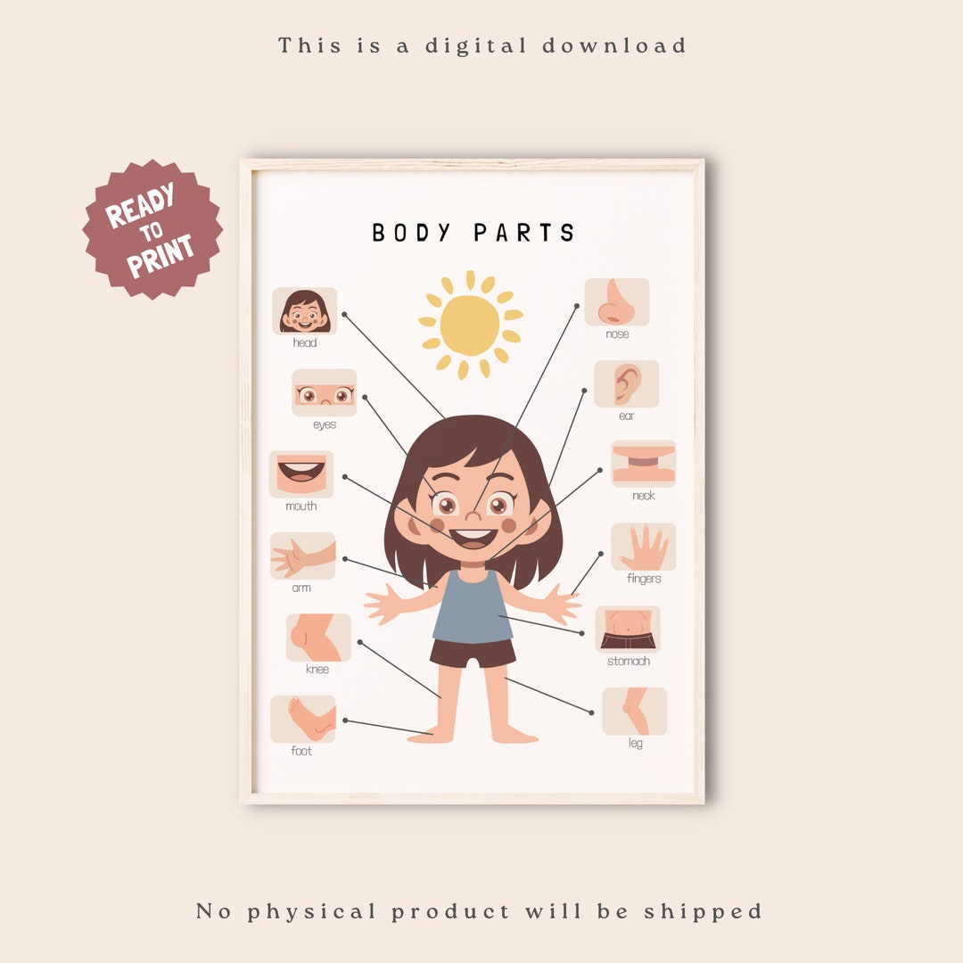 Body Parts Educational Poster Printable Wall Art Digital - Etsy