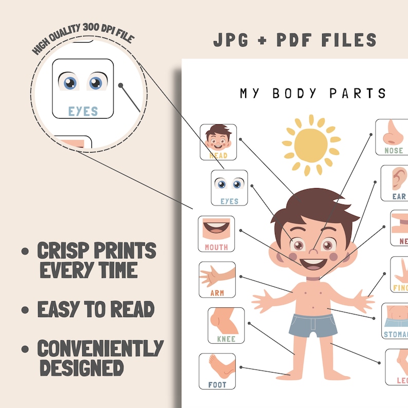 My Body Parts Educational Poster Printable Wall Art Anatomy - Etsy