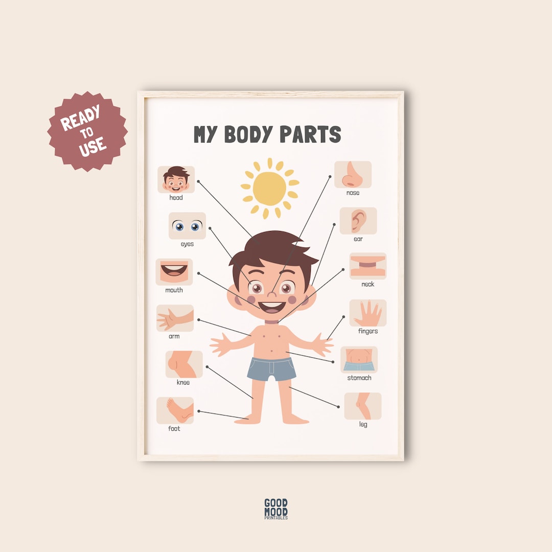 My Body Parts Educational Poster Printable Wall Art Anatomy - Etsy