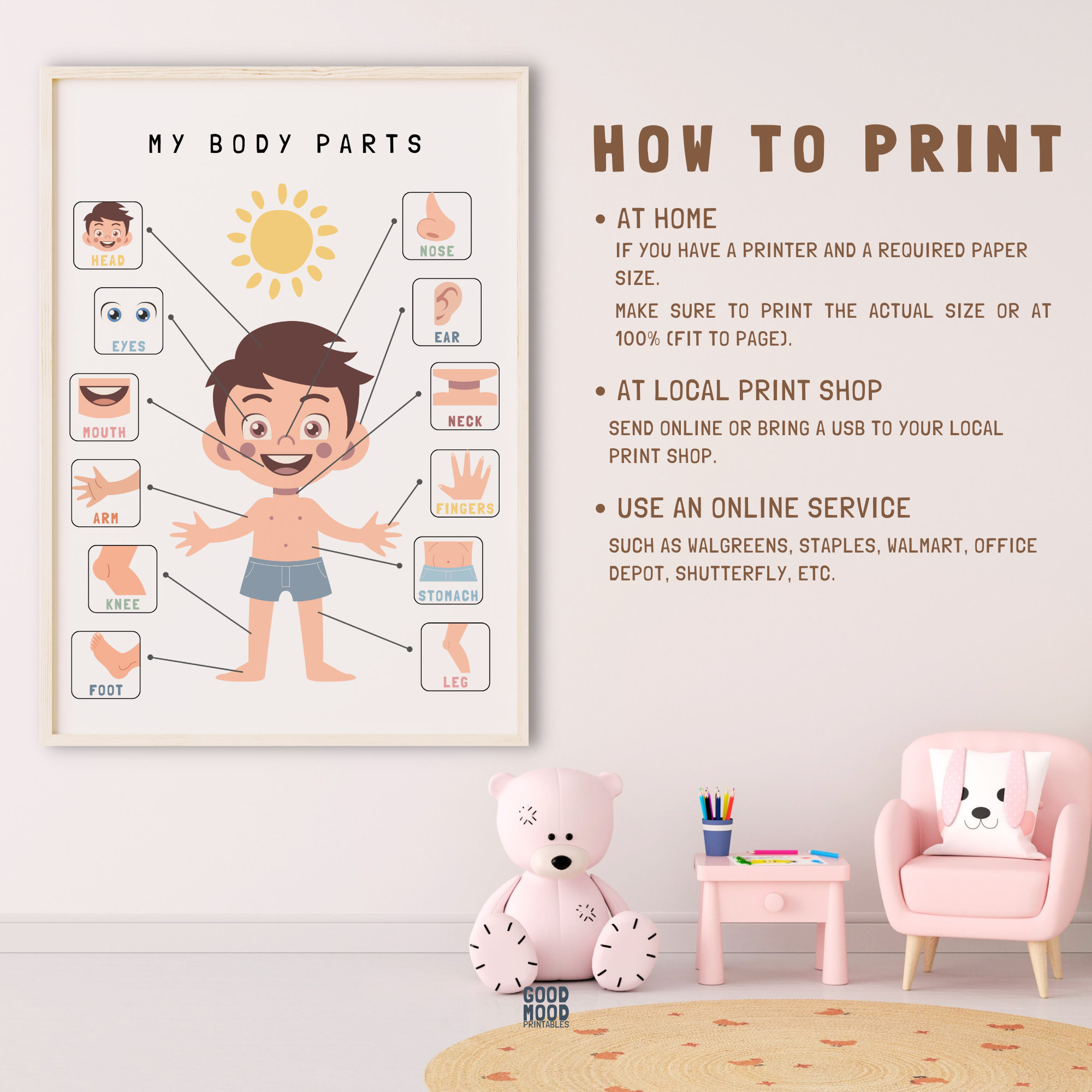 My Body Parts Educational Poster Printable Wall Art Anatomy - Etsy