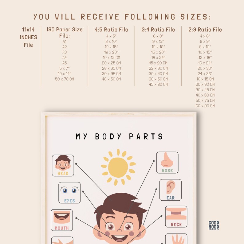 My Body Parts Educational Poster Printable Wall Art Anatomy - Etsy