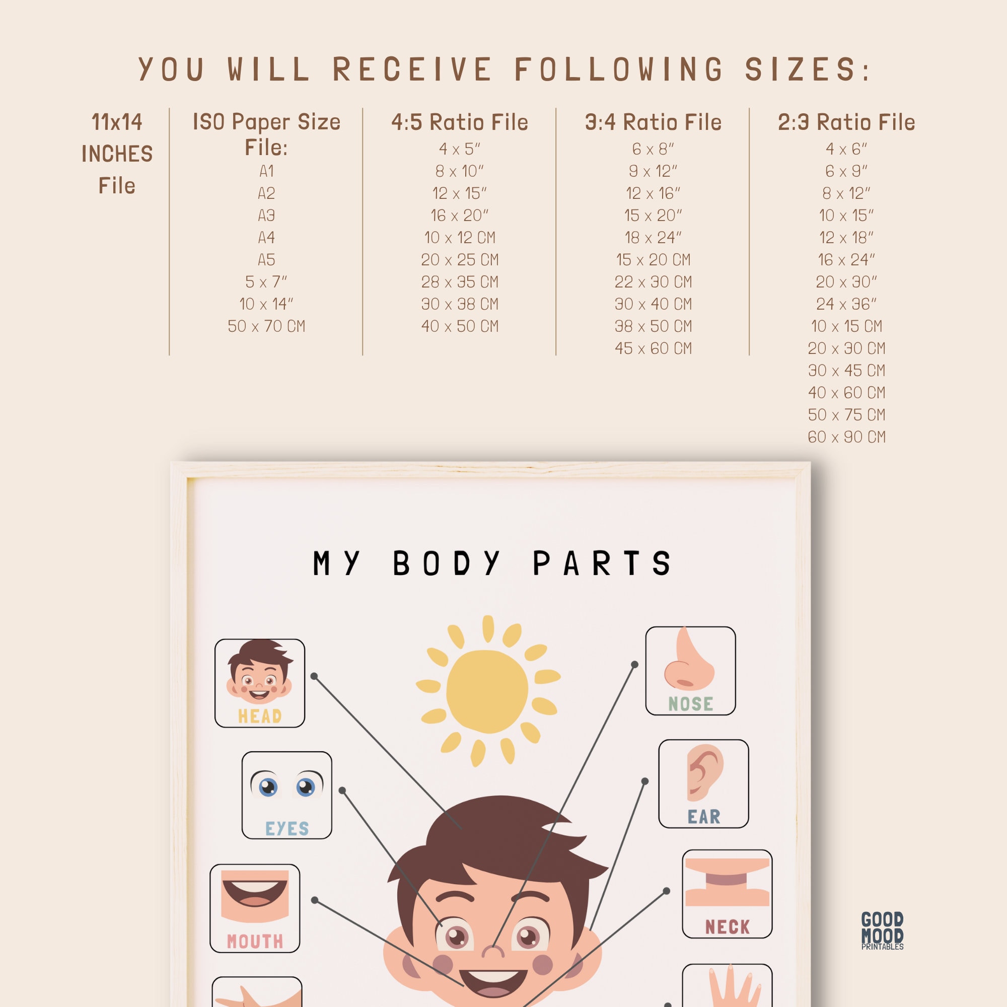 My Body Parts Educational Poster Printable Wall Art Anatomy - Etsy